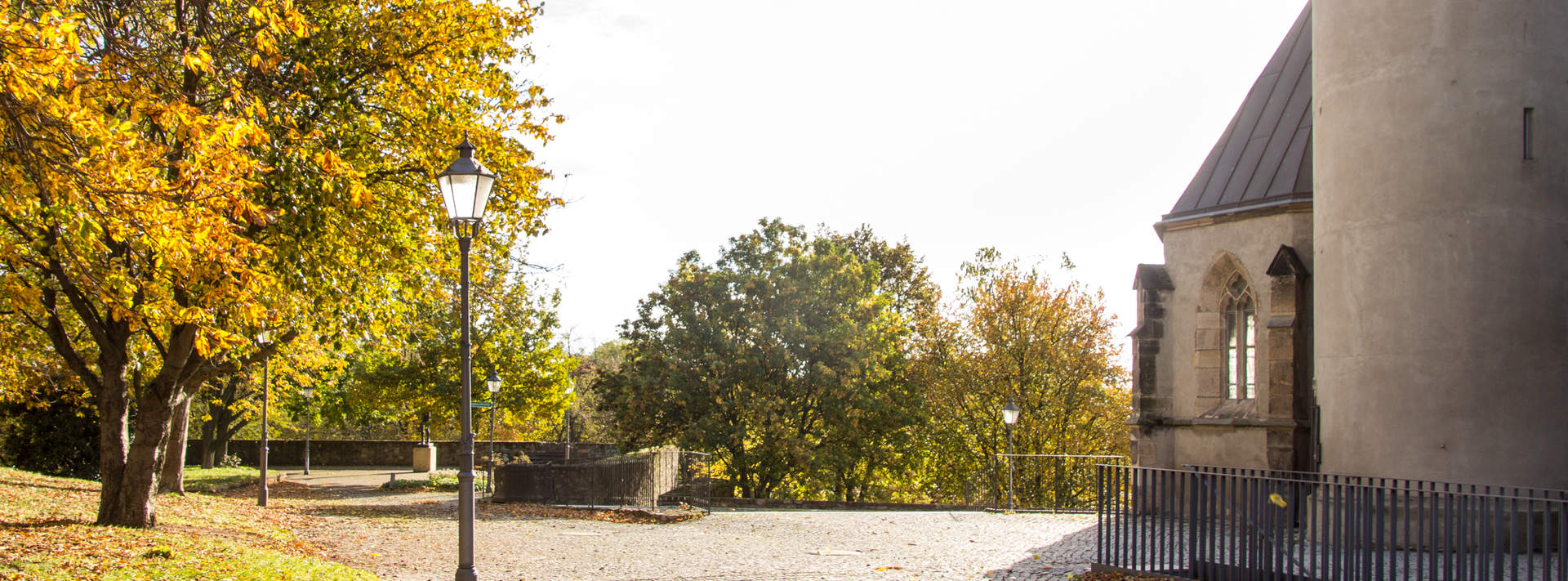 Downloadcenter | MDCC Service